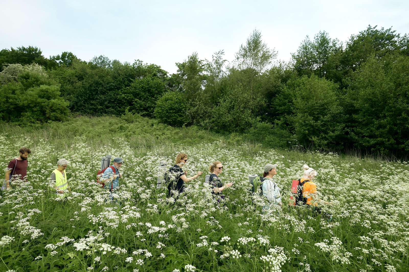 Hjælp i dagligdagen
